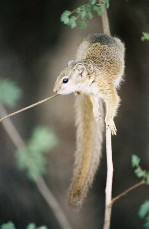 Bad Rabbit Studio | Bad Rabbit Studio is a media production company ...